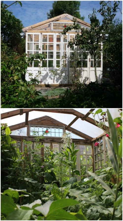 20 Free DIY Greenhouse Plans You’ll Want To Make Right Away - DIY & Crafts
