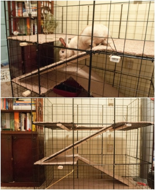 10 Free DIY Rabbit Hutch Plans That Make Raising Bunnies Easy - DIY ...