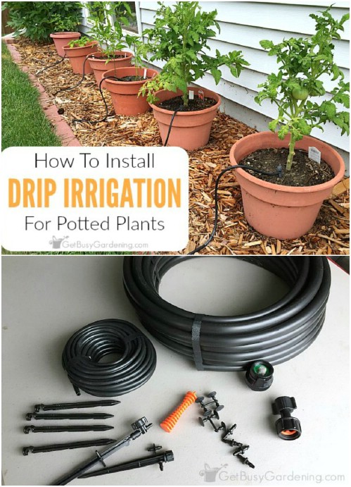 Pvc Drip Irrigation Tree Diy
