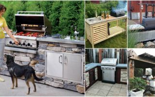 25 Foods You Can Re-Grow Yourself from Kitchen Scraps - DIY & Crafts